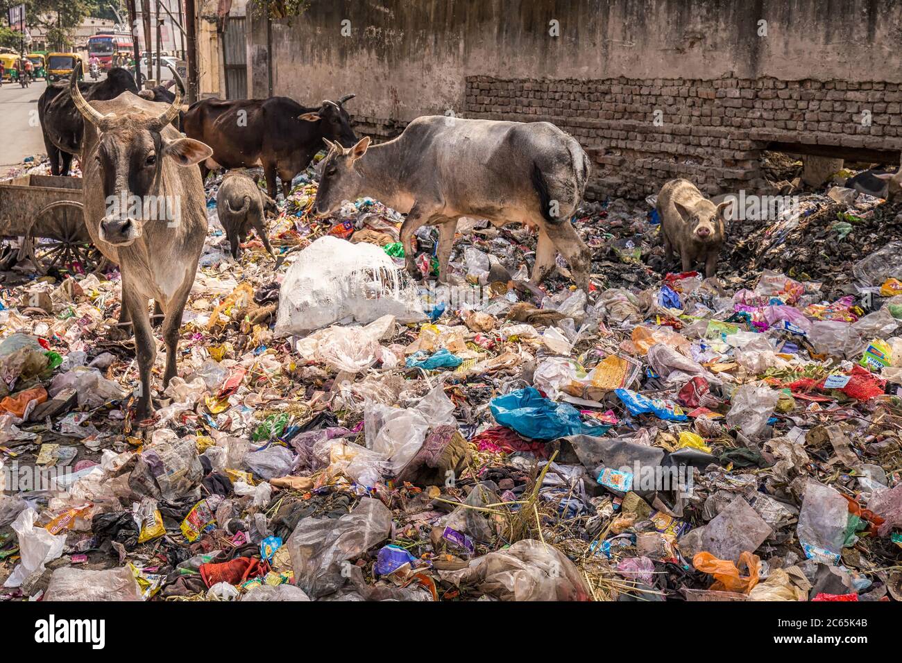 Dirty neighborhood hi-res stock photography and images - Alamy