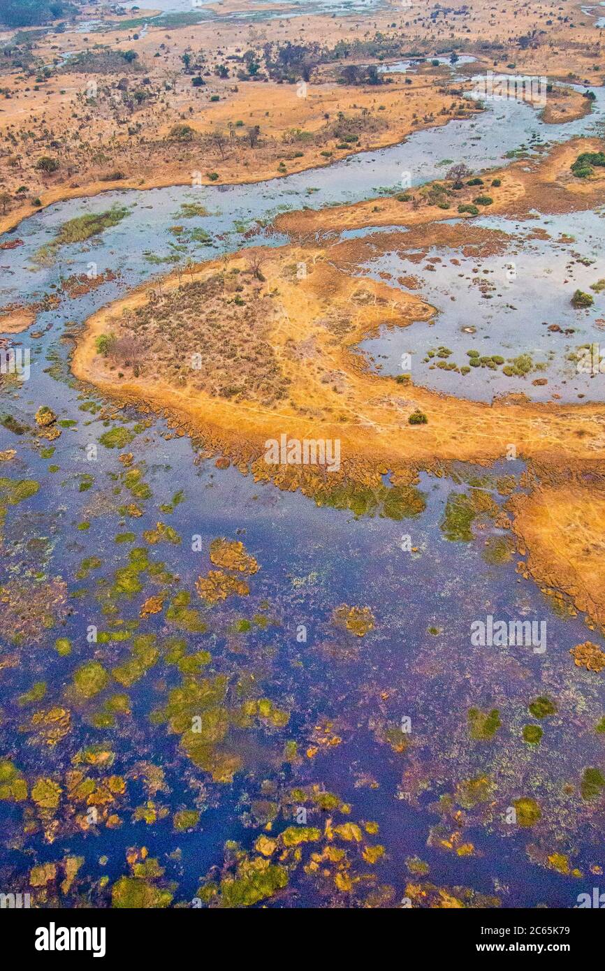 Aerial view, Okavango Delta, Botswana, Africa Stock Photo - Alamy