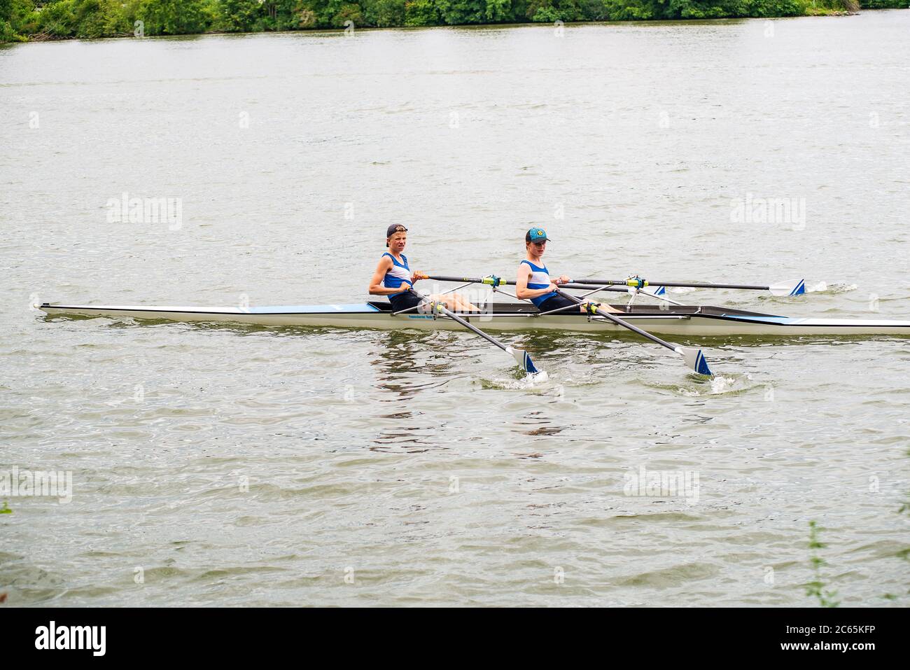 Rowing teams training on the Danube river Stock Photo - Alamy