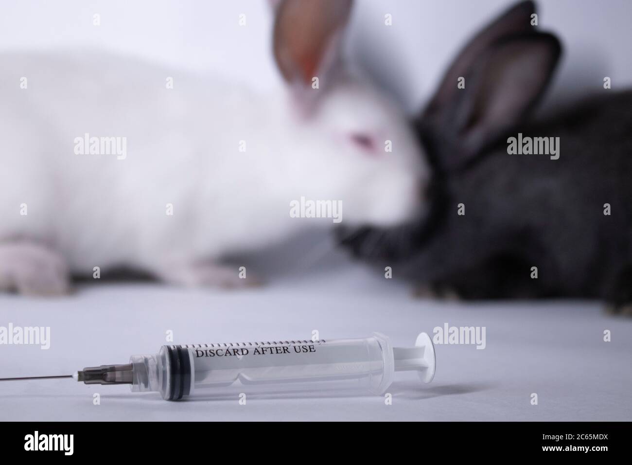 scared white and gray rabbits-bunnies near an injection-syringe. copy ...