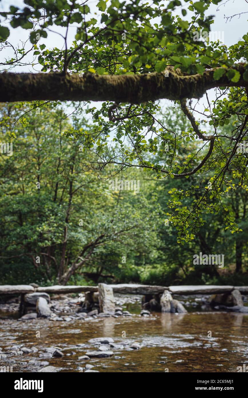 Tarr Steps clapper bridge crossing the River Barle in the Exmoor ...