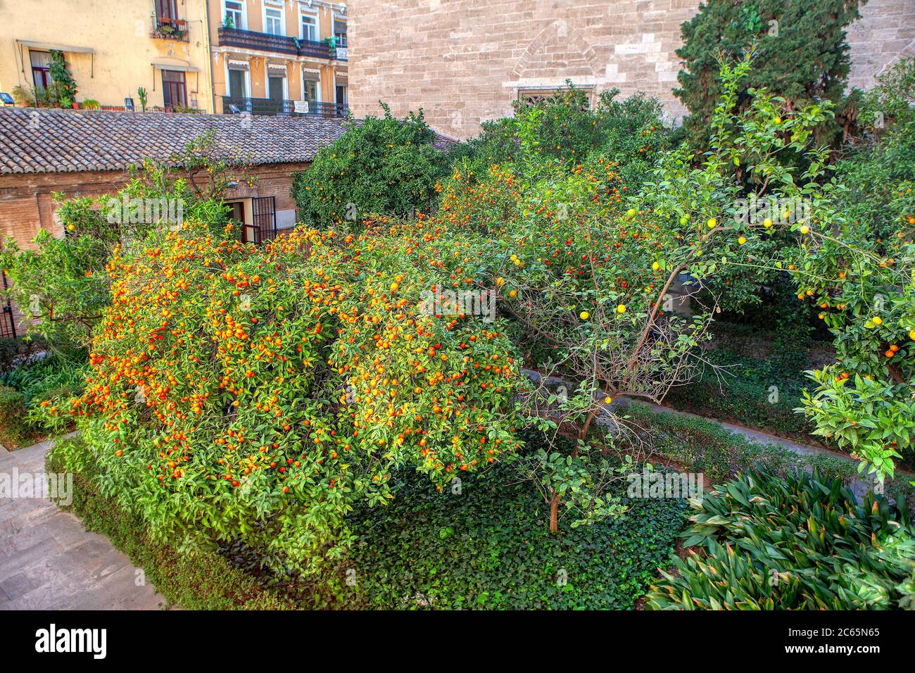 Courtyard with citrus trees . Residential district with tropical trees ...