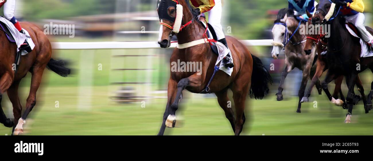 Detailaufnahme von einem Pferderennen (Galopp Stock Photo - Alamy