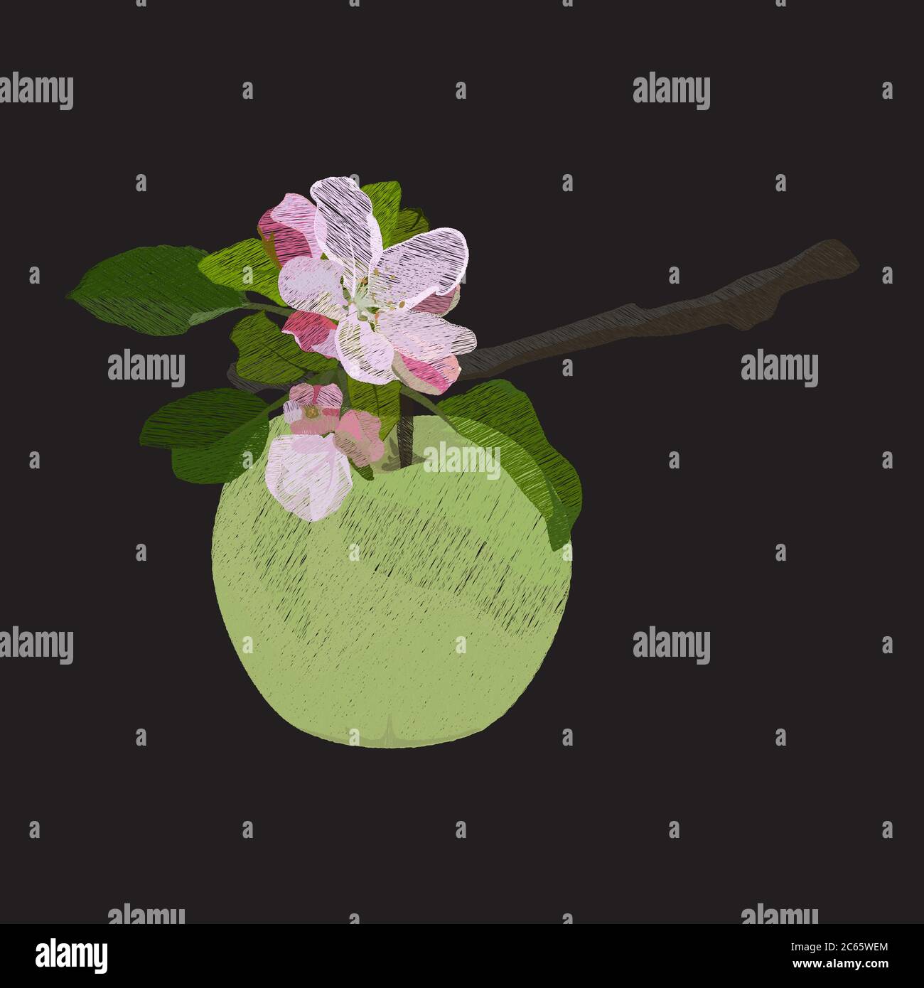 Apple bloom Stock Vector Images - Alamy