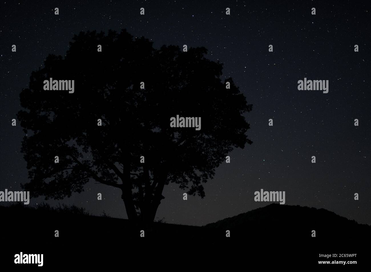 An old oak tree under the starry sky by night hi-res stock photography ...