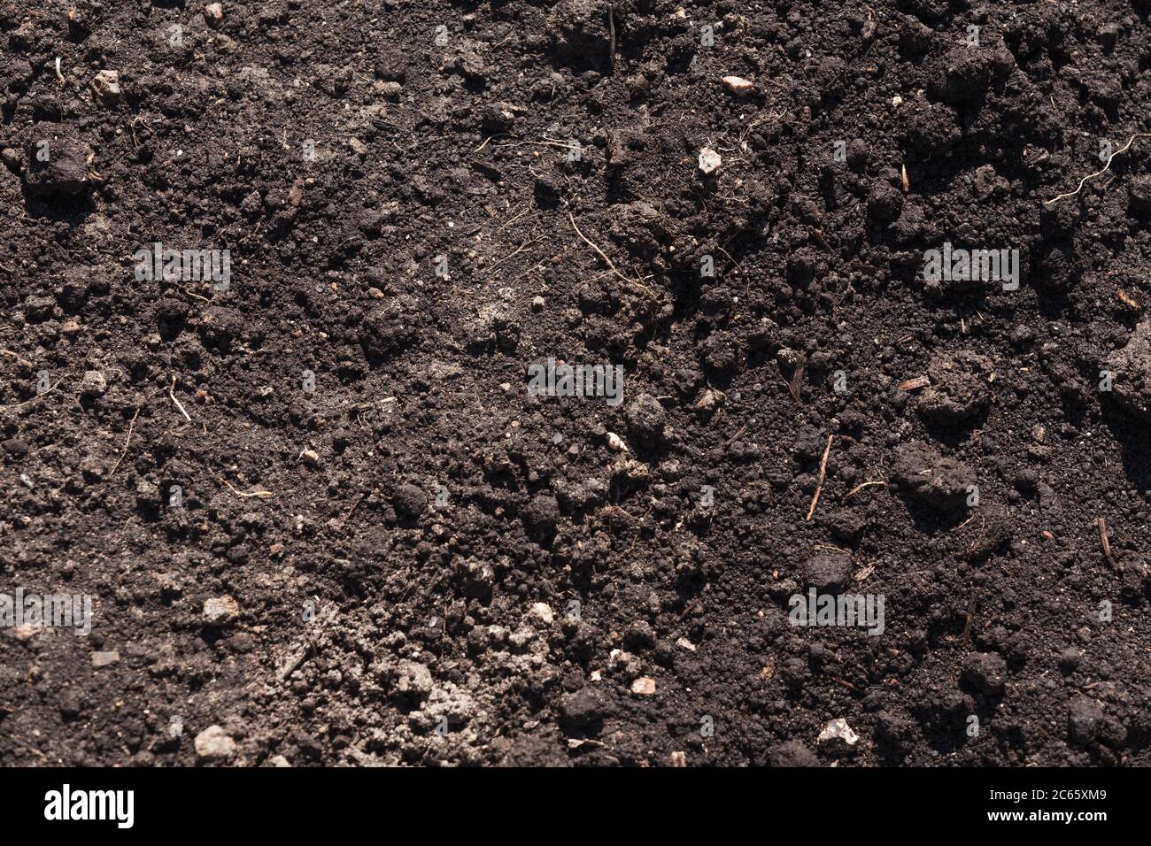 Chernozem type of soil, background photo texture Stock Photo - Alamy