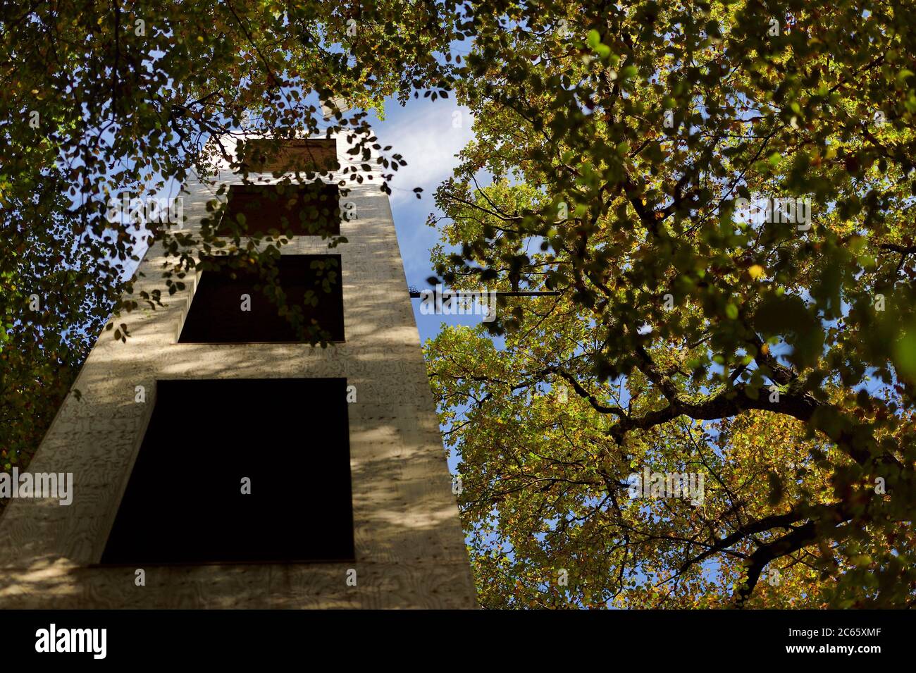 Oak tree from below hi-res stock photography and images - Alamy