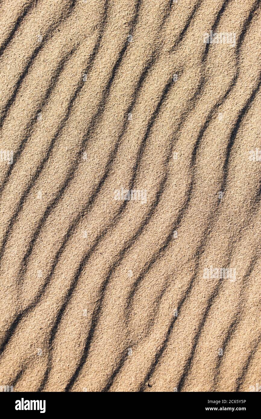 Wavy pattern sandy texture of clean beach sand surface. Coastline ...