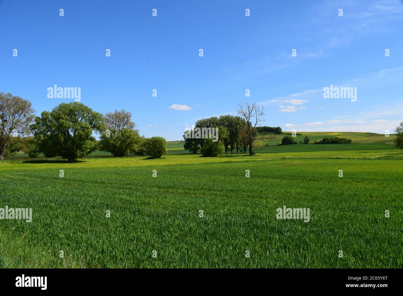 farmland in spring Stock Photo - Alamy
