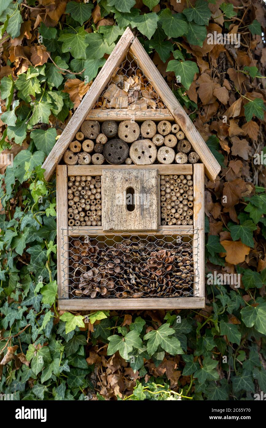 Small wooden house for insects in garden Stock Photo - Alamy