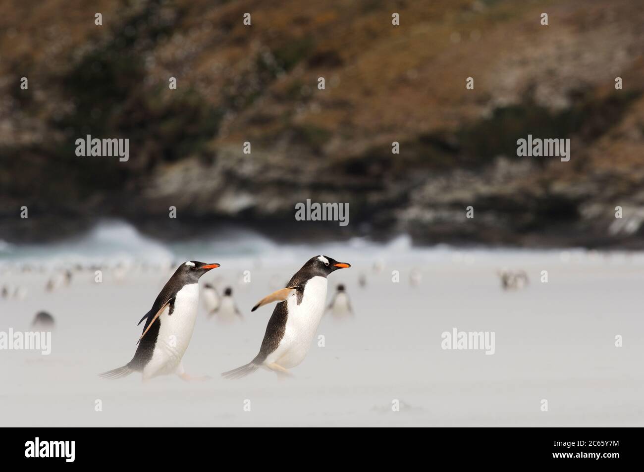 Eye triangle hi-res stock photography and images - Alamy