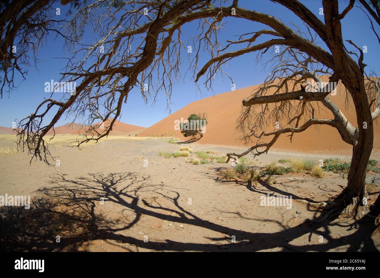 Sesriem Sossusvlei sand dune Stock Photo - Alamy