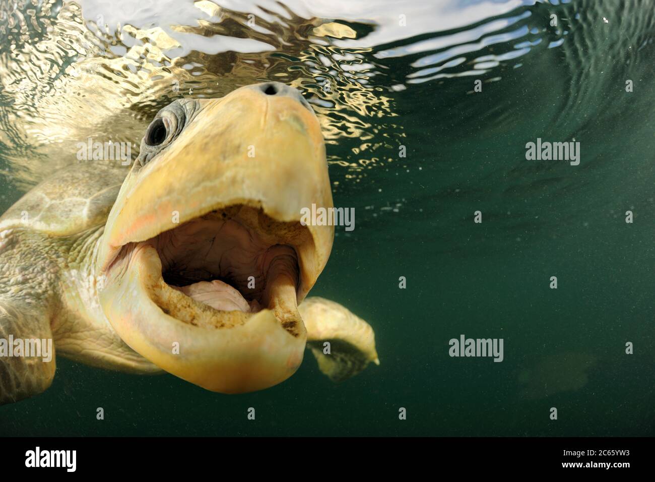Ocean probe hi-res stock photography and images - Alamy
