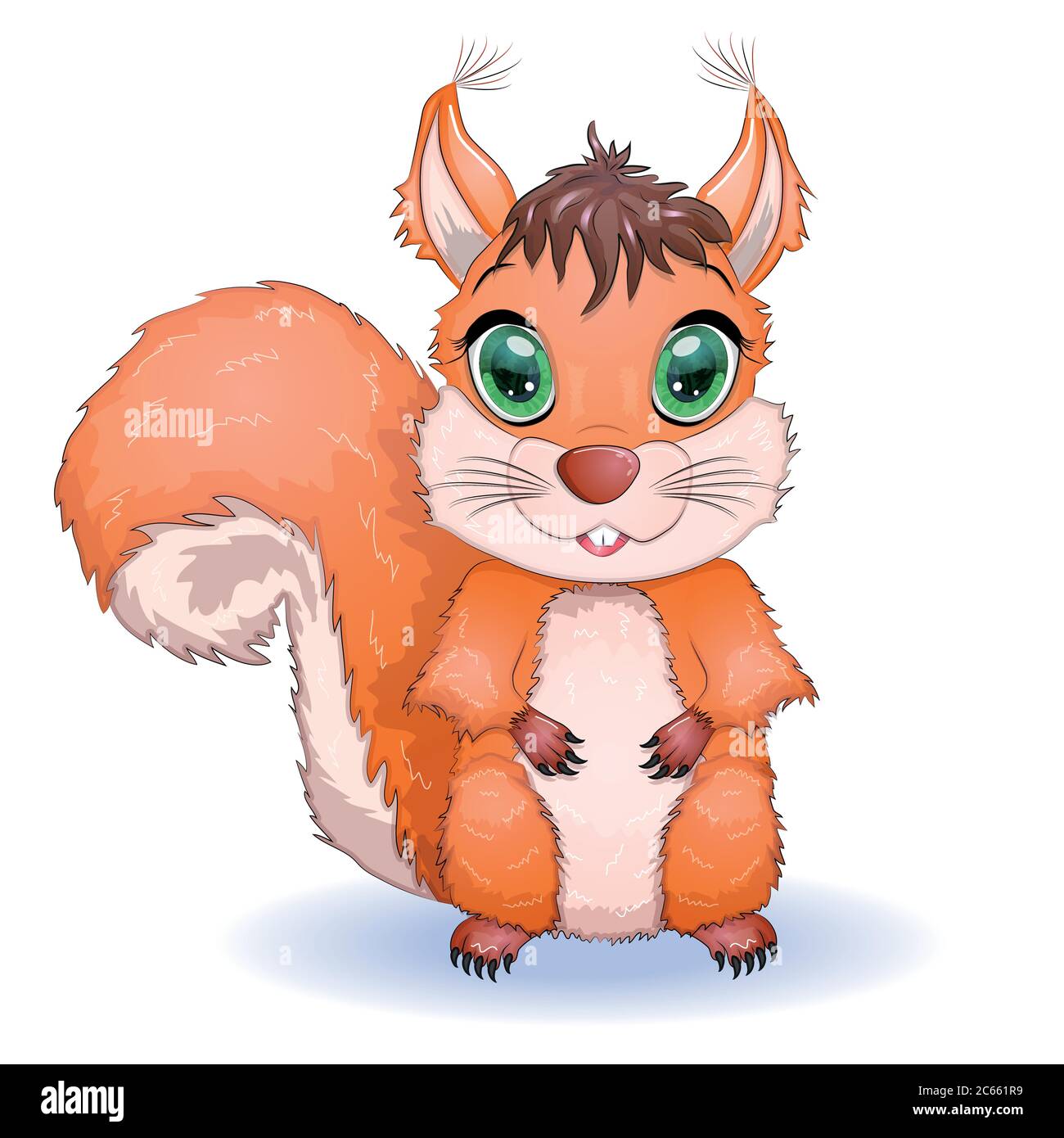 Red squirrel, front view of Sciurus Vulgaris, isolated on white ...