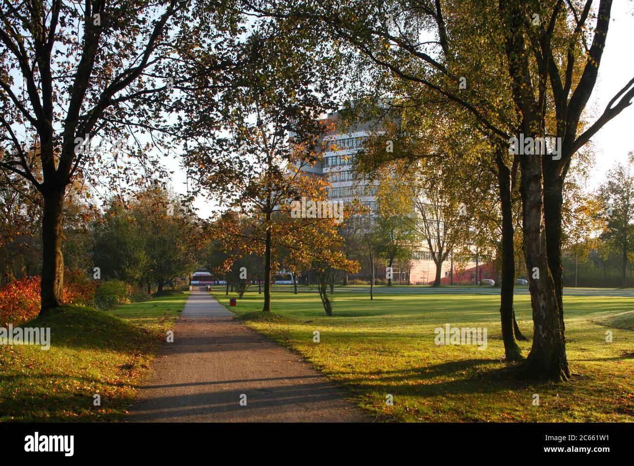 Autumn atmosphere, green spaces, multi-purpose high-rise, MZH ...