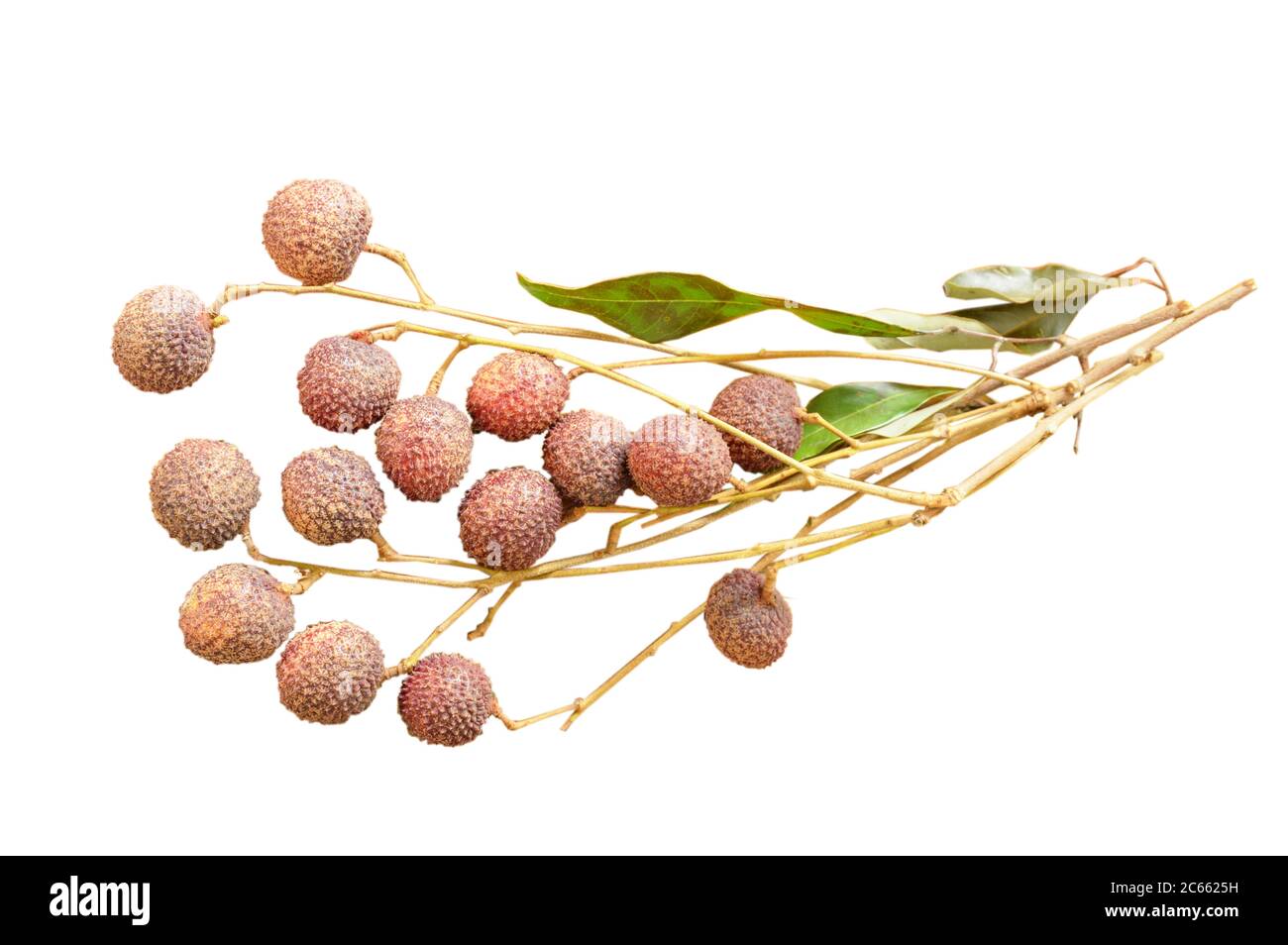 lychee tropical fruit on branch in white background Stock Photo - Alamy