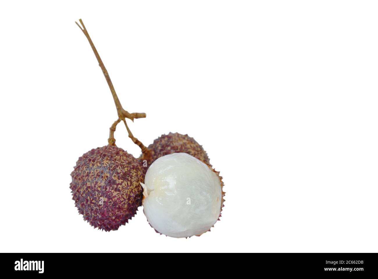 lychee tropical fruit on branch in white background Stock Photo - Alamy