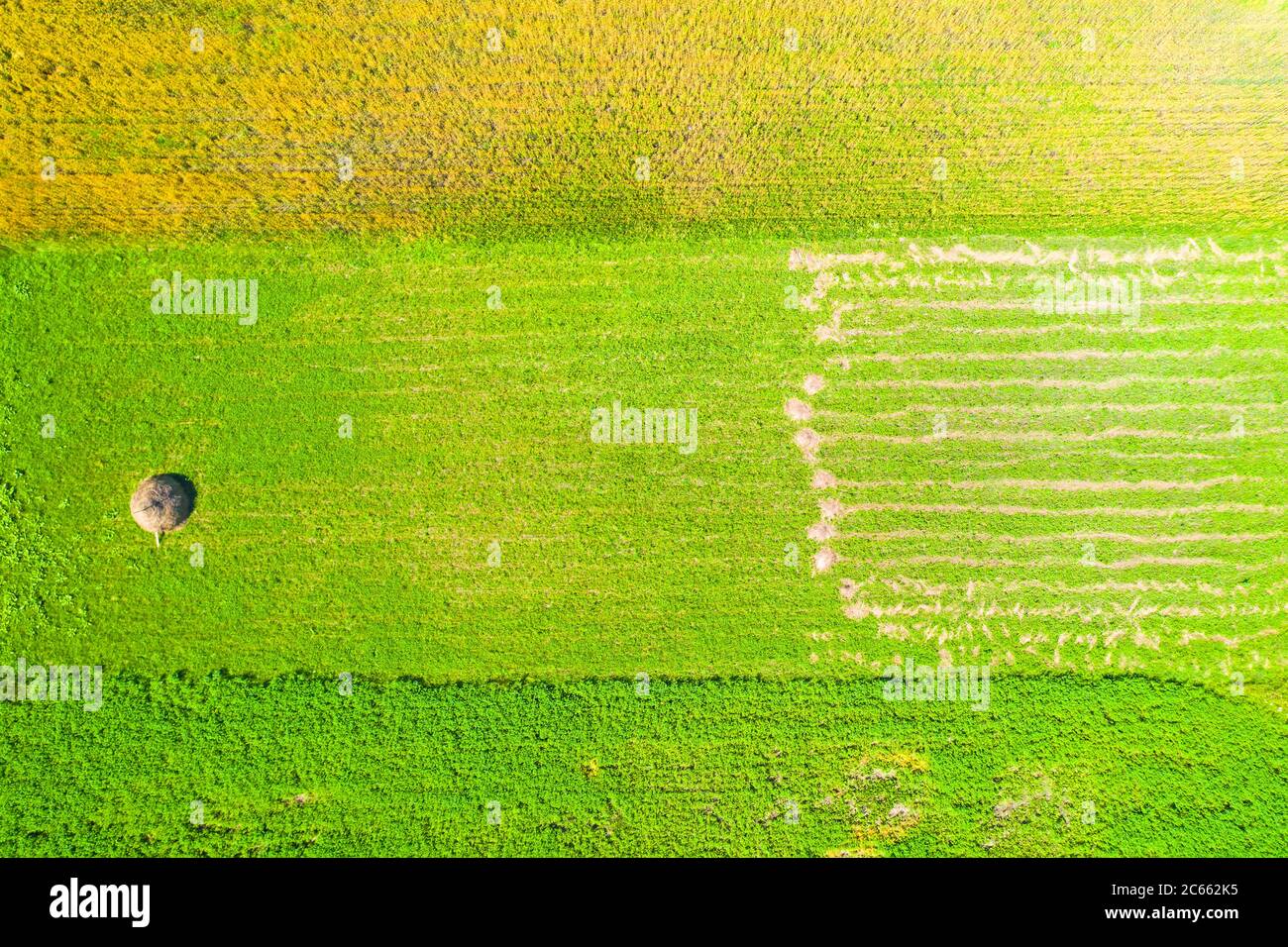 Above view of stacked hay in a rural scene. summer fields Stock Photo ...