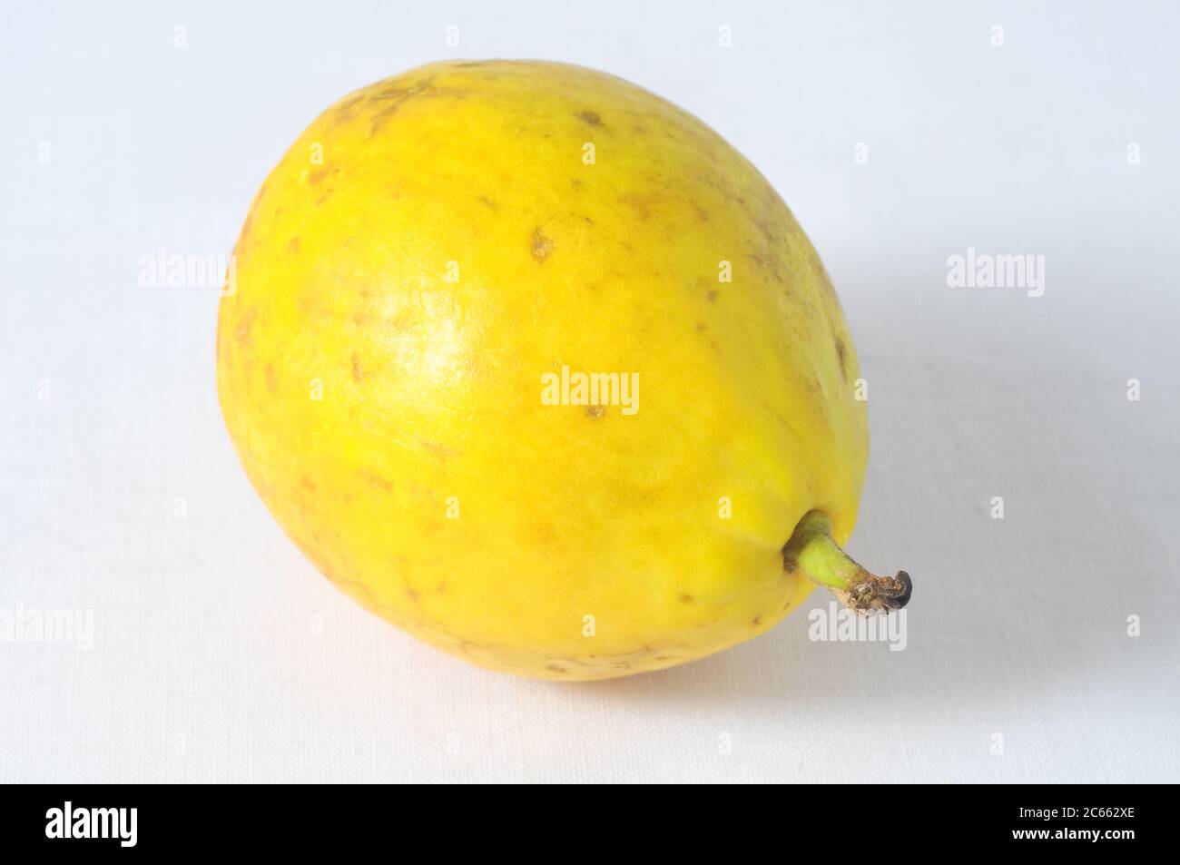 Very Ripe Healthy guayaba on a White Background Stock Photo - Alamy
