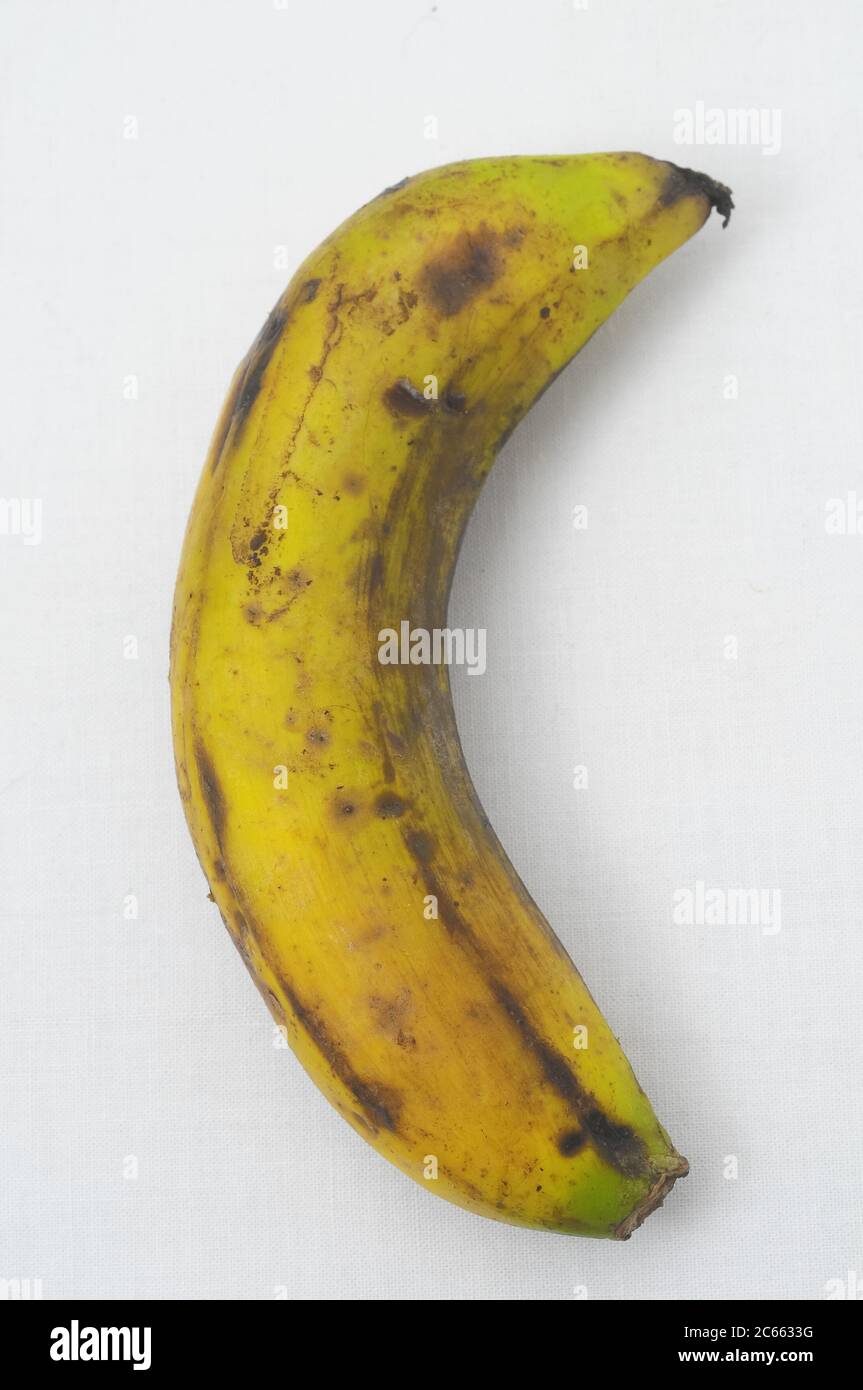 Very Ripe Healthy Banana on a White Background Stock Photo - Alamy