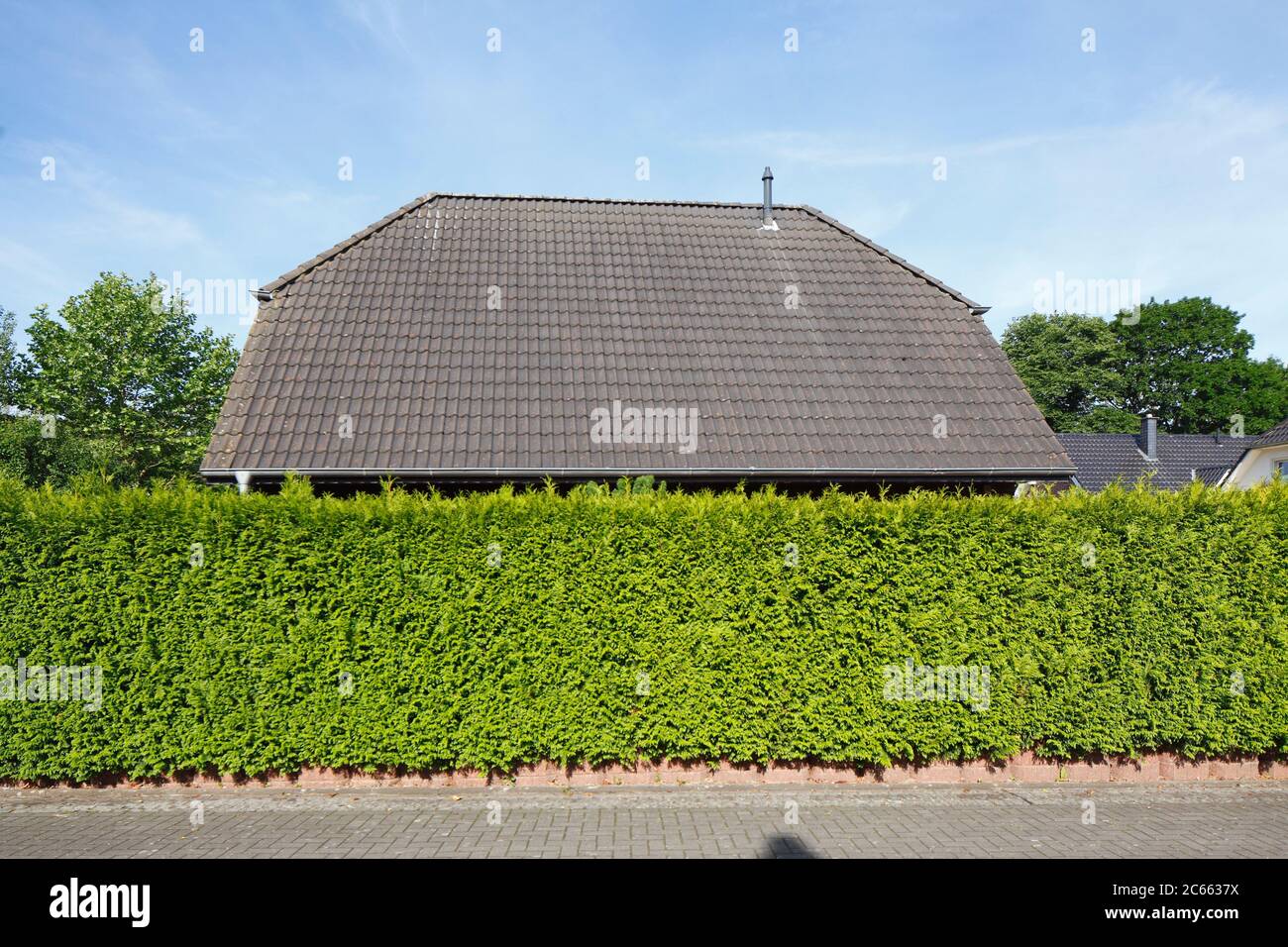 Garden modern hedges hi-res stock photography and images - Alamy