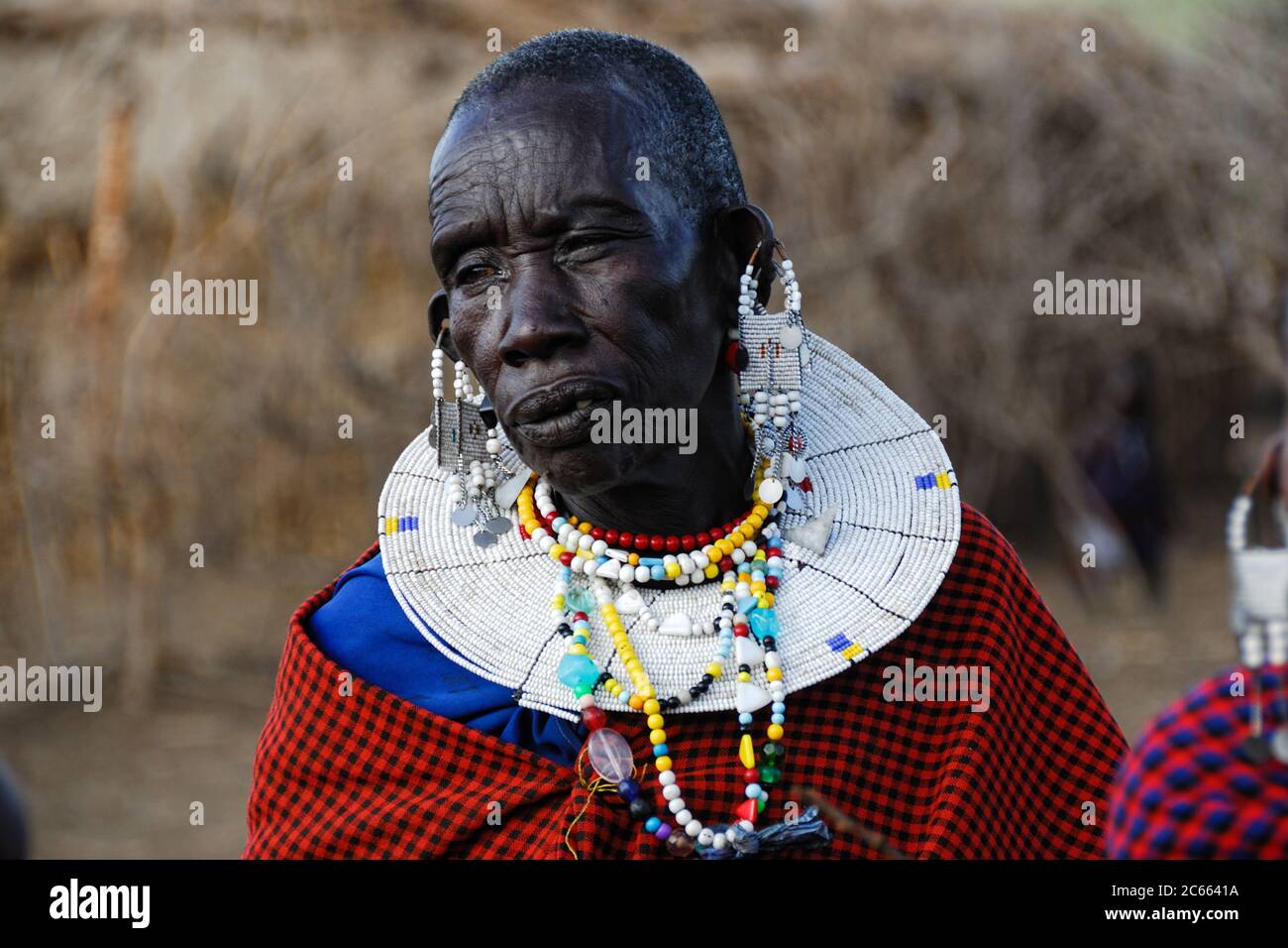 A woman of the Masai tribe Tanzania with traditional jewellery Stock ...