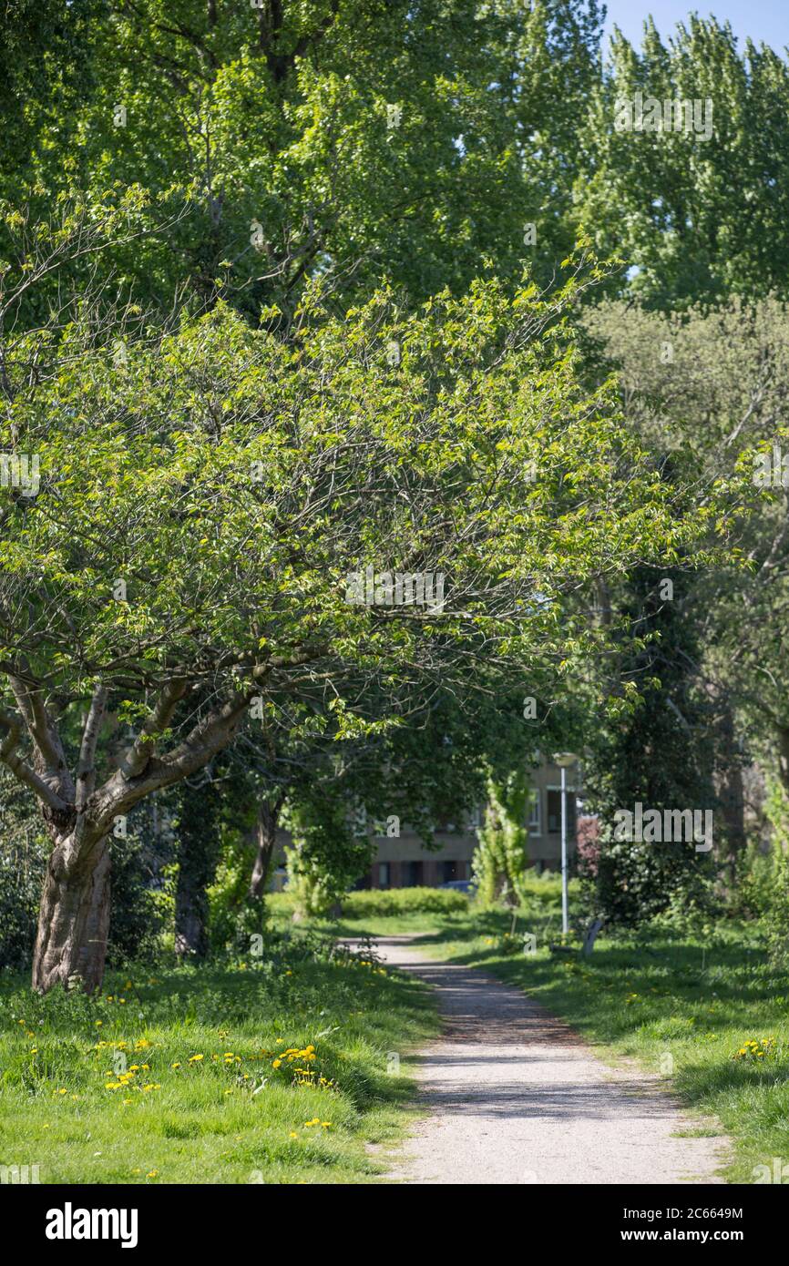 Small park hi-res stock photography and images - Alamy