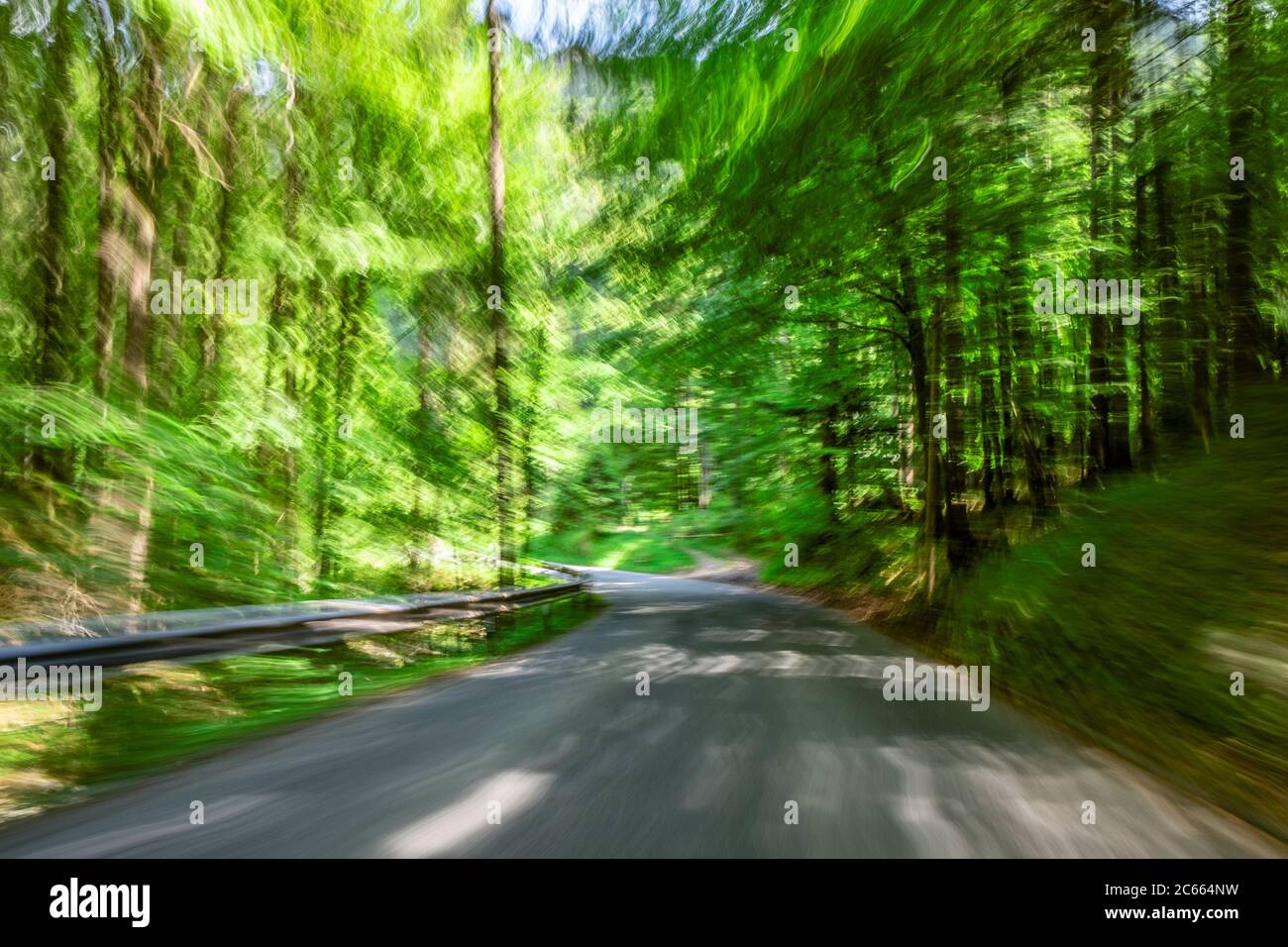 Blurred road through forest hi-res stock photography and images - Alamy