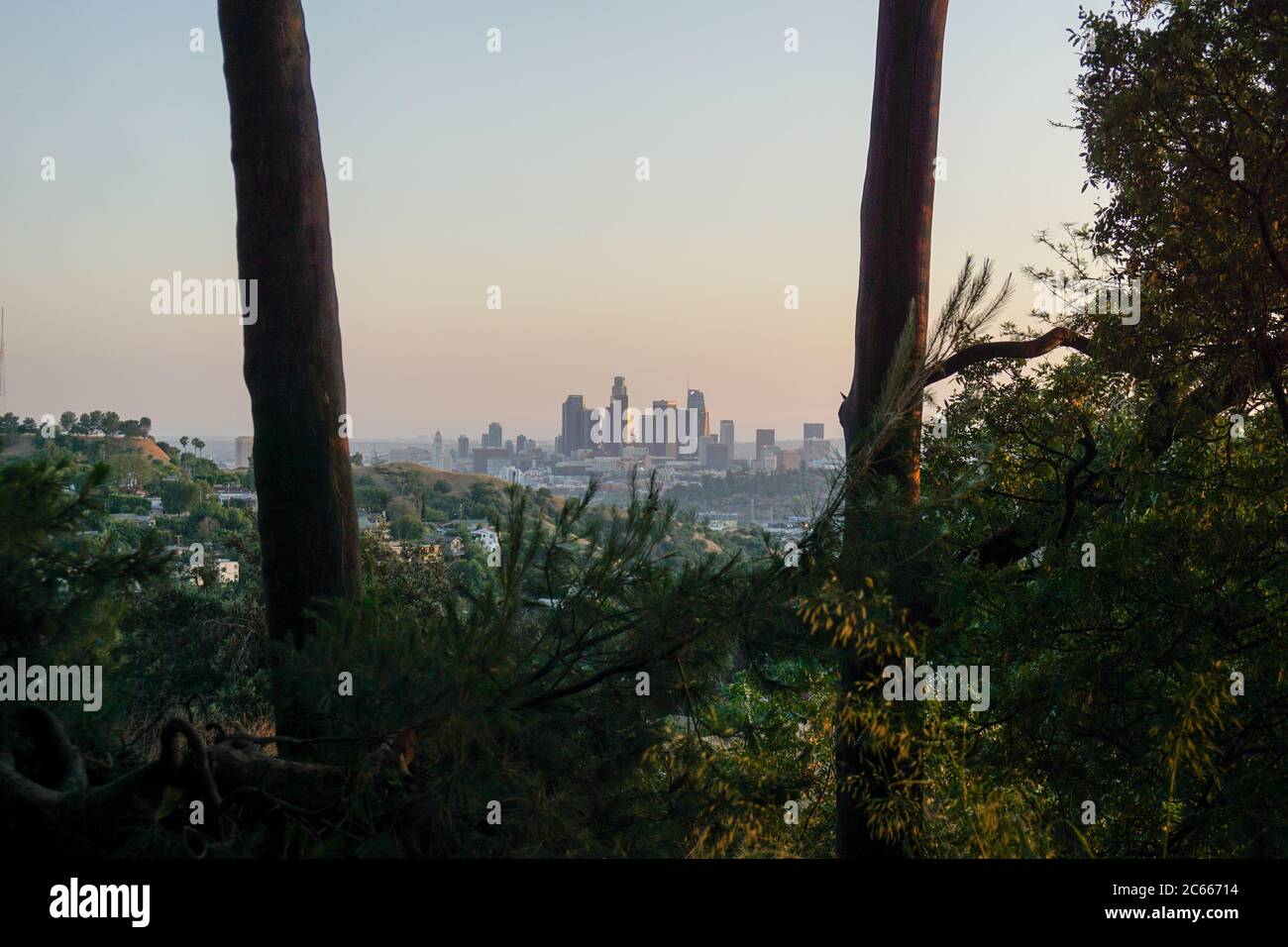 Downtown Los Angeles from Debs Park Stock Photo - Alamy