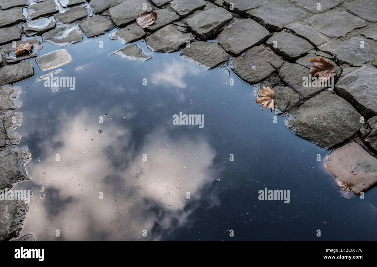 Reflection in a puddle of water in Paris, France Stock Photo - Alamy