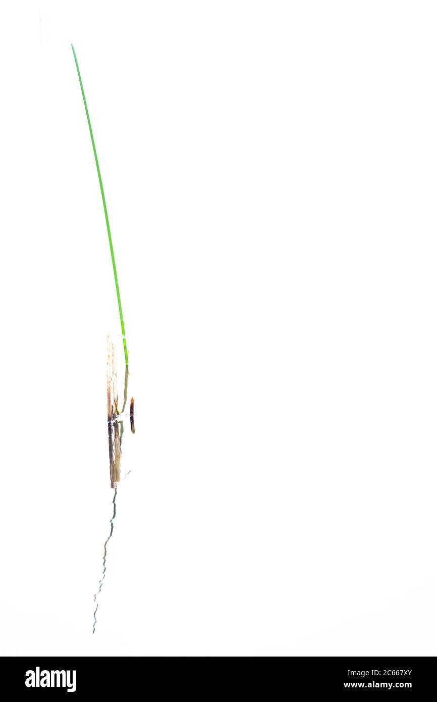 Climbing district Cut Out Stock Images & Pictures - Alamy