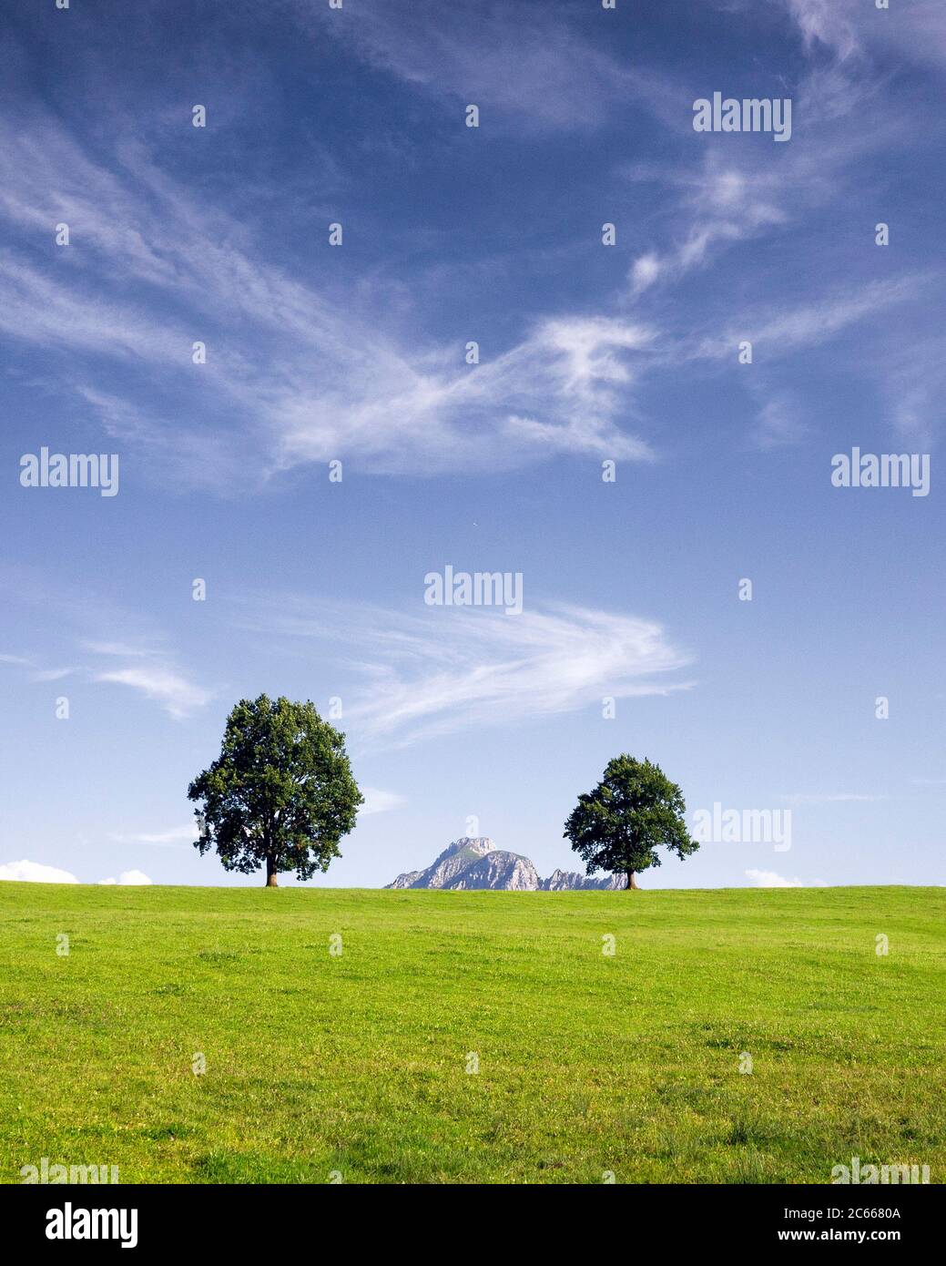 Alm in the allgau with two trees hi-res stock photography and images ...