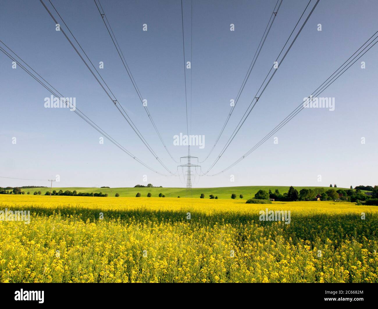 High voltage line over a flowering rape field Stock Photo - Alamy