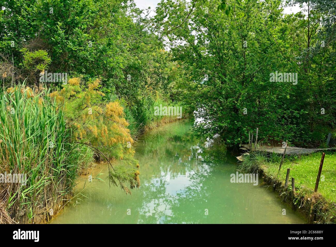 The wetlands of Isola Della Cona in Friuli-Venezia Giulia, north east ...