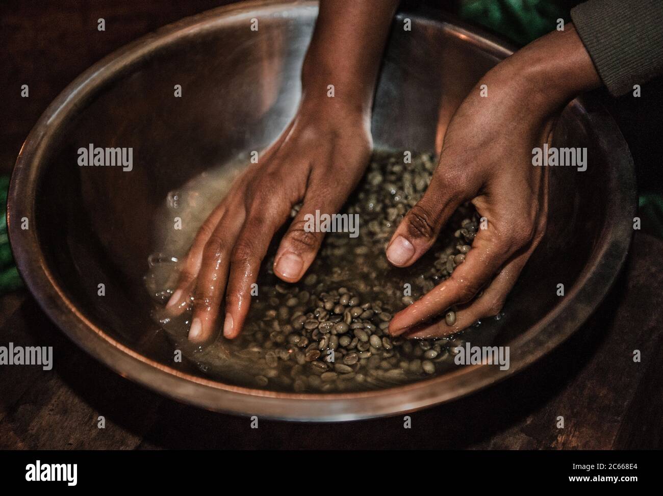 Coffee beans being washed before roasting Stock Photo - Alamy