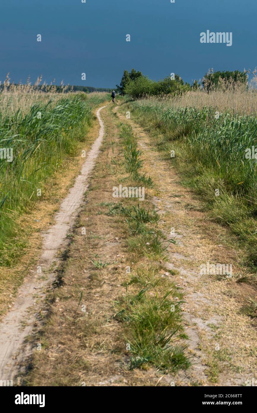 Baltic coast bike way R10 near Leba, cyclist Stock Photo - Alamy