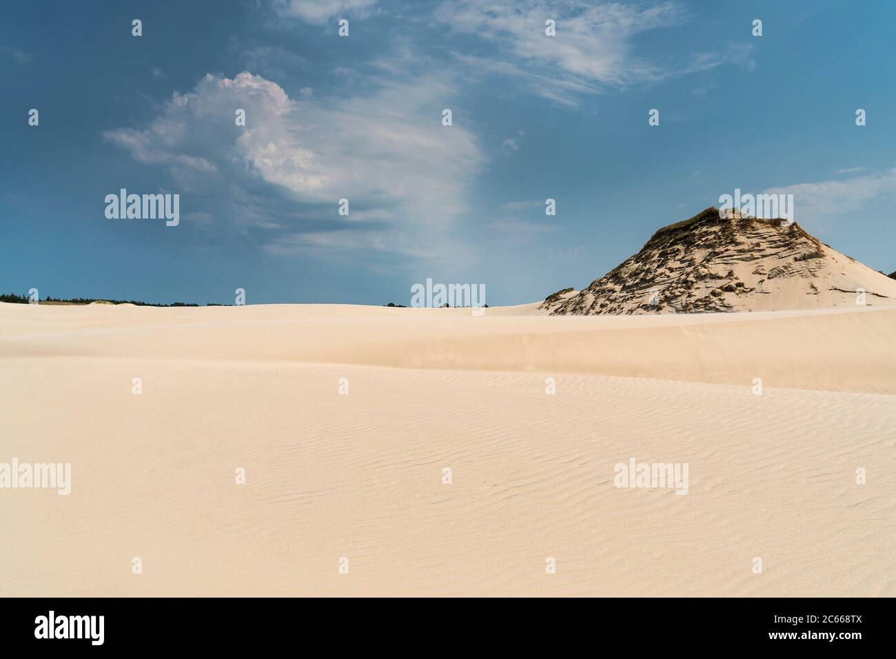 Poland, Slovenian National Park, shifting dune near Leba, 'Polish ...