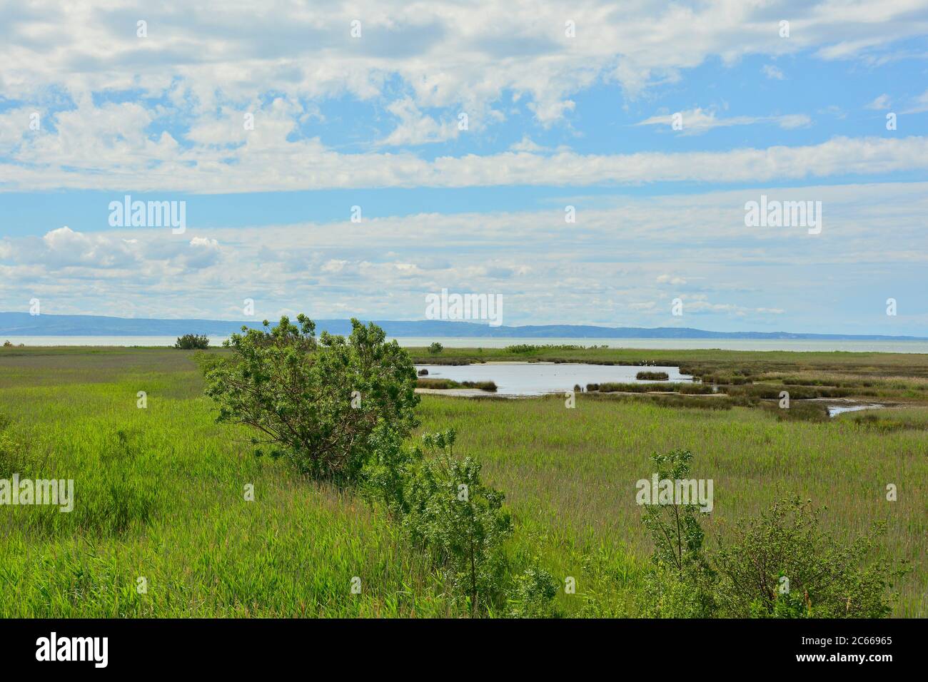 The wetlands of Isola Della Cona in Friuli-Venezia Giulia, north east ...
