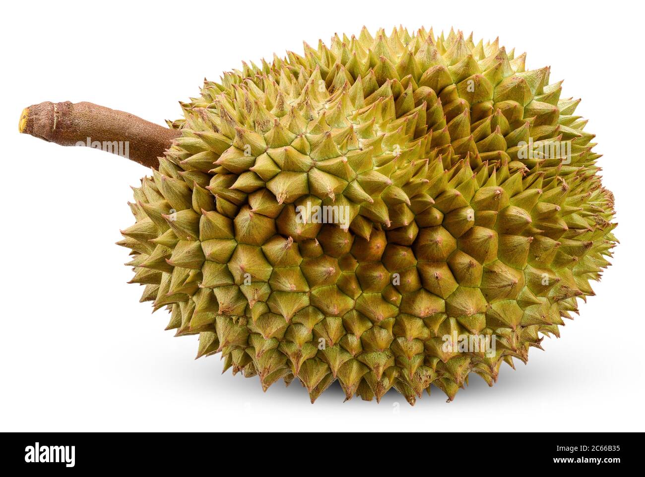 Durian isolated on white, durian clipping path Stock Photo - Alamy