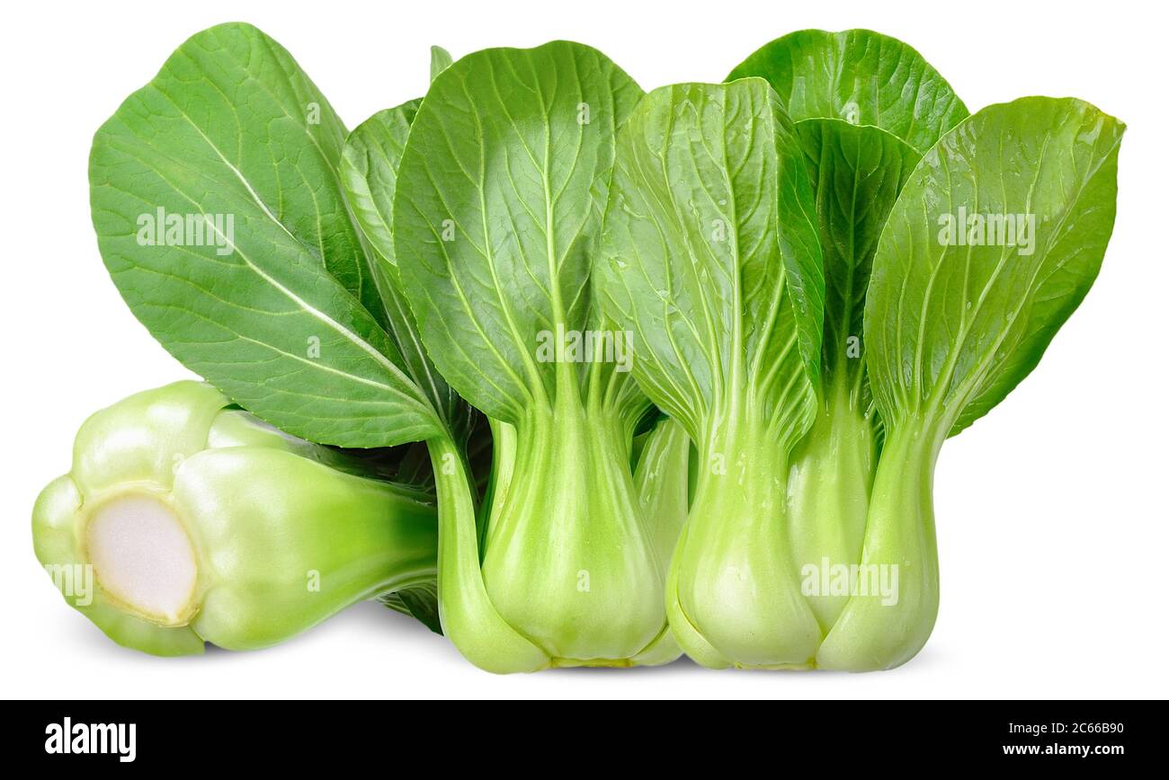 Bok choy vegetable isolated with clipping path Stock Photo - Alamy