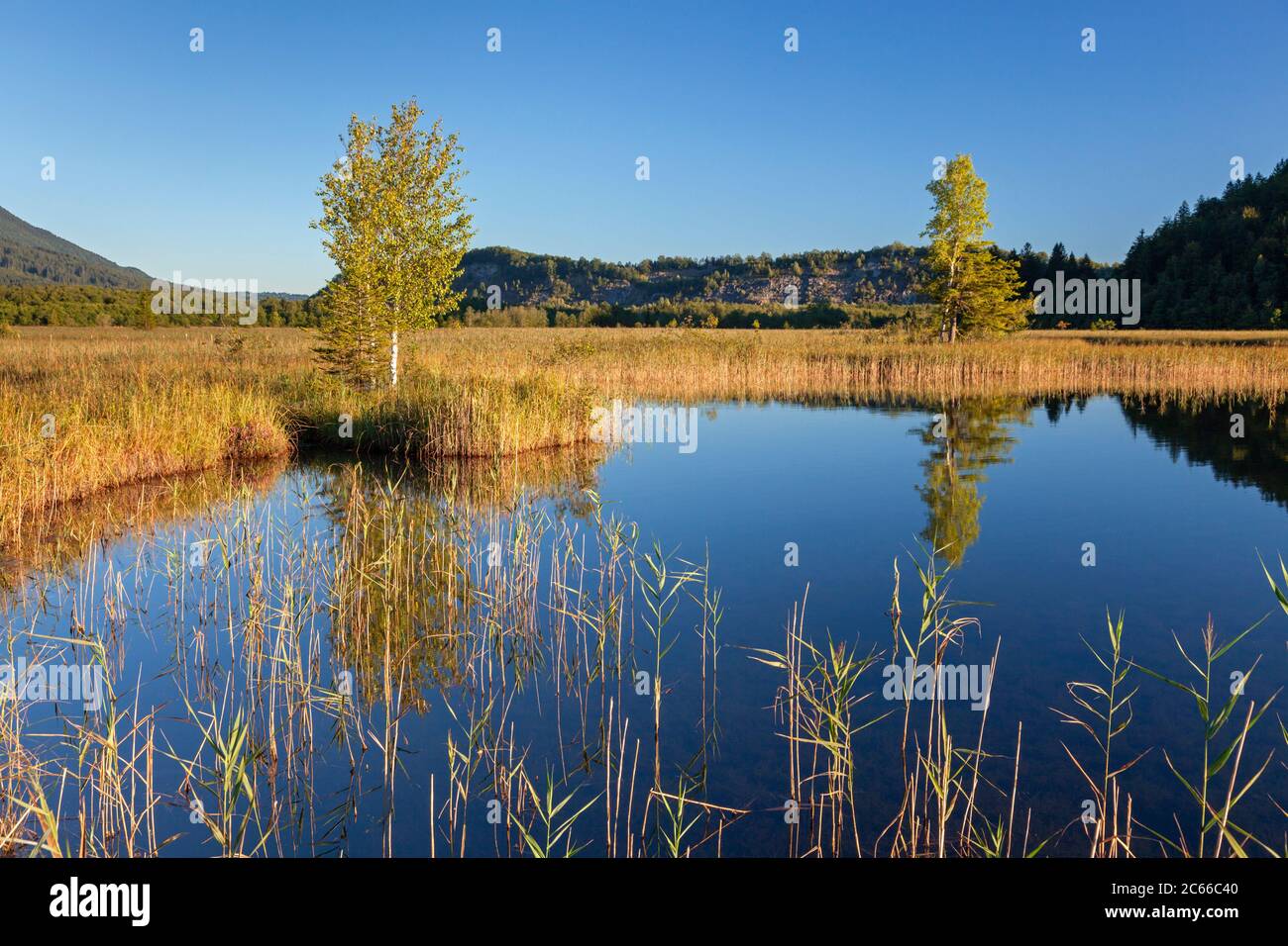 Lake in murnauer moos between eschenlohe and murnau hi-res stock ...