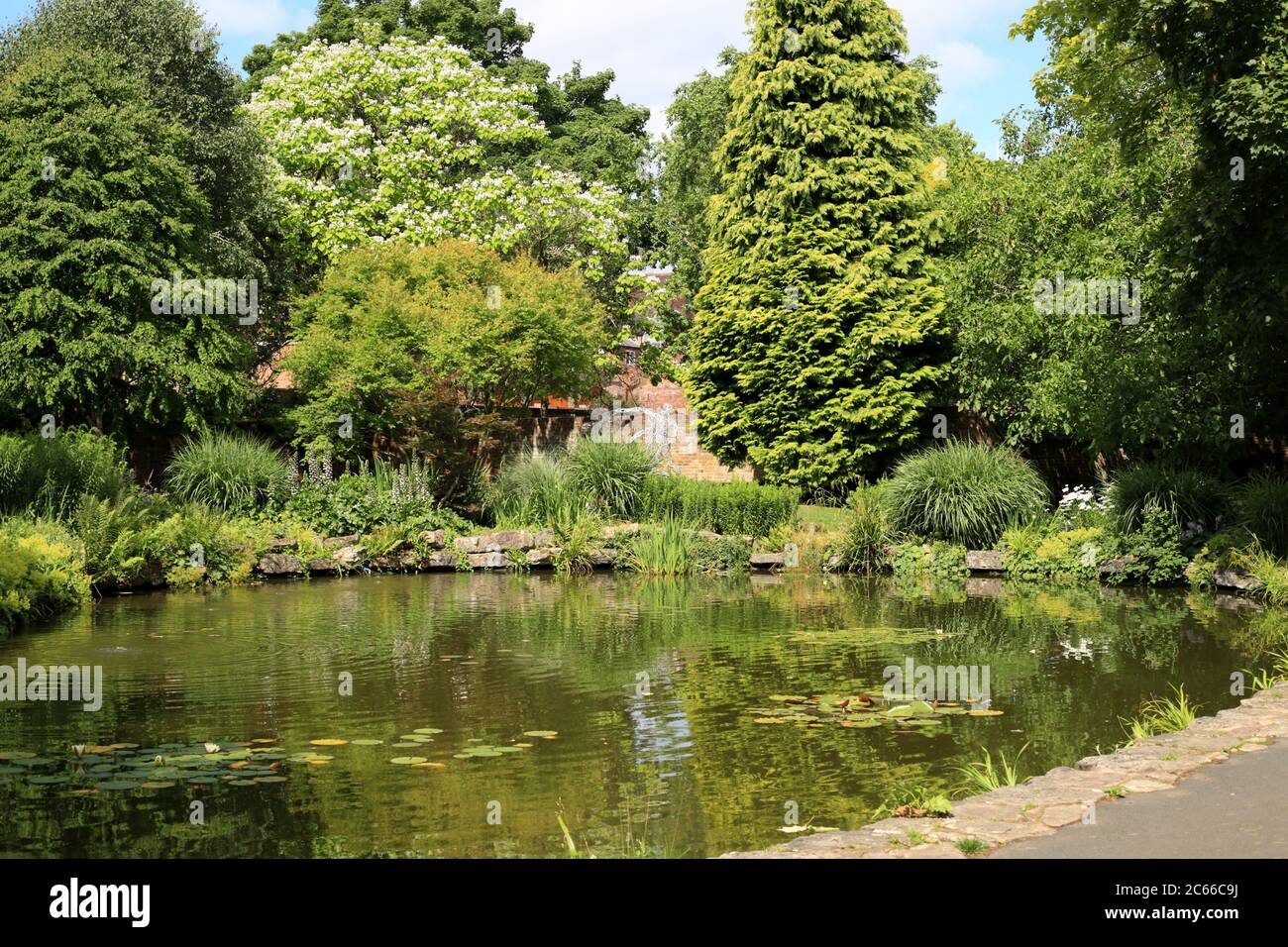 Pond in the Queen Elizabeth II jubilee gardens, Bewdley, Worcestershire ...
