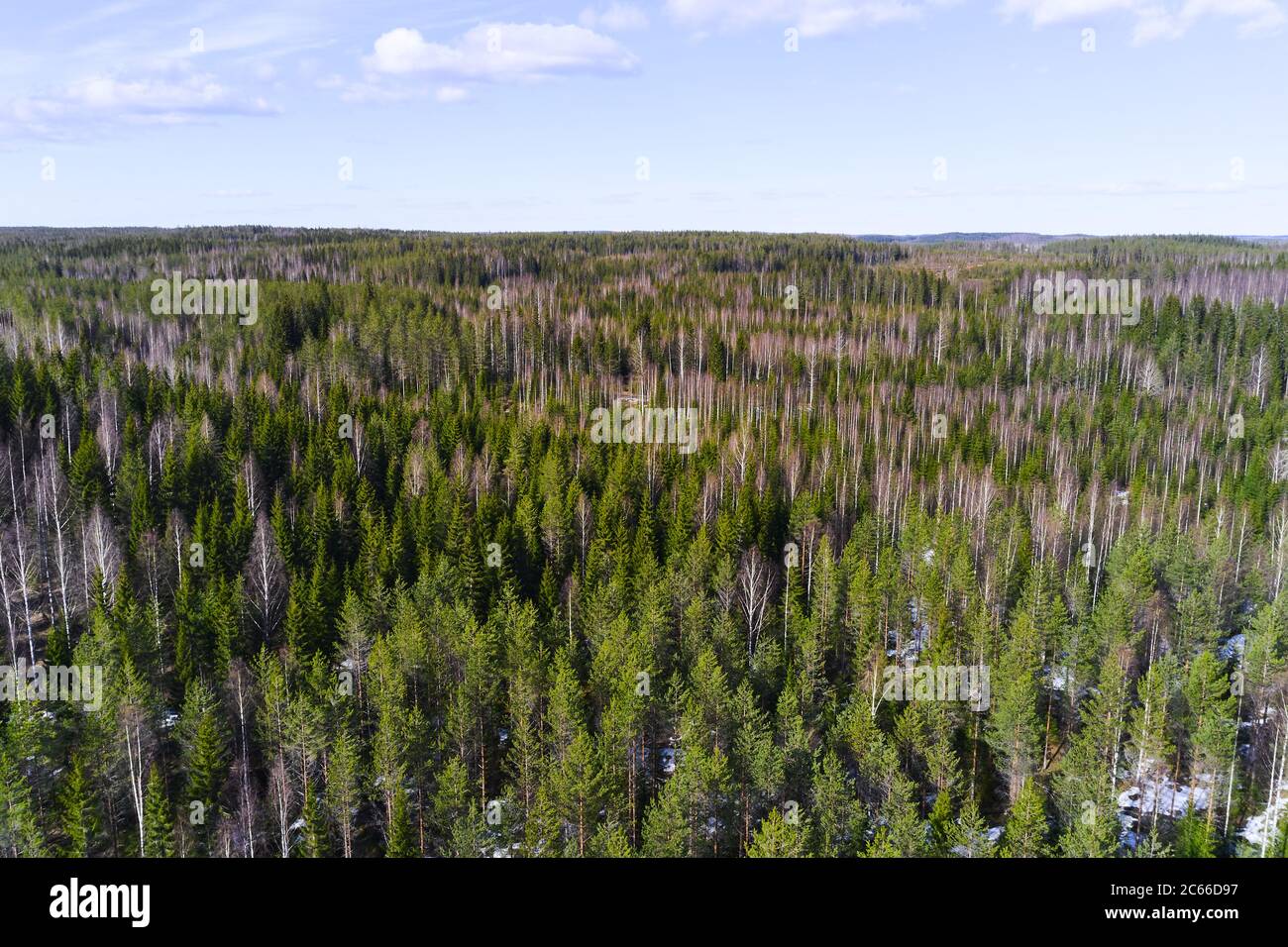 Aerial view of spring forest in Finland. North-Karelia nature Stock ...