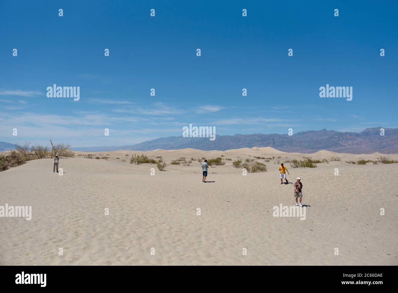 Discovering the sand dunes of the Mojave Desert, California, USA Stock ...