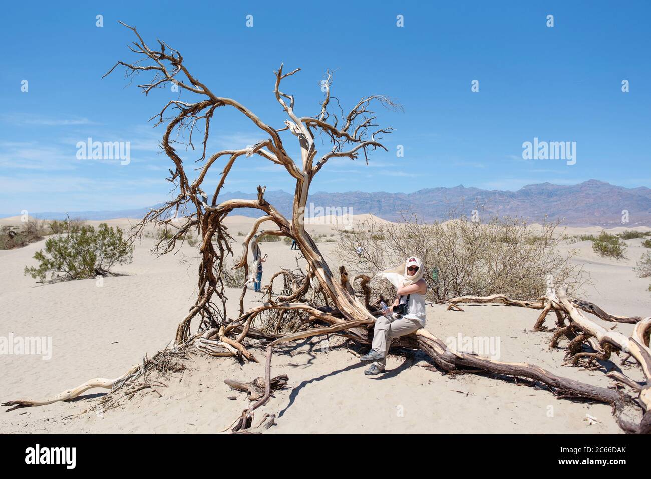 Humans in desert hi-res stock photography and images - Alamy