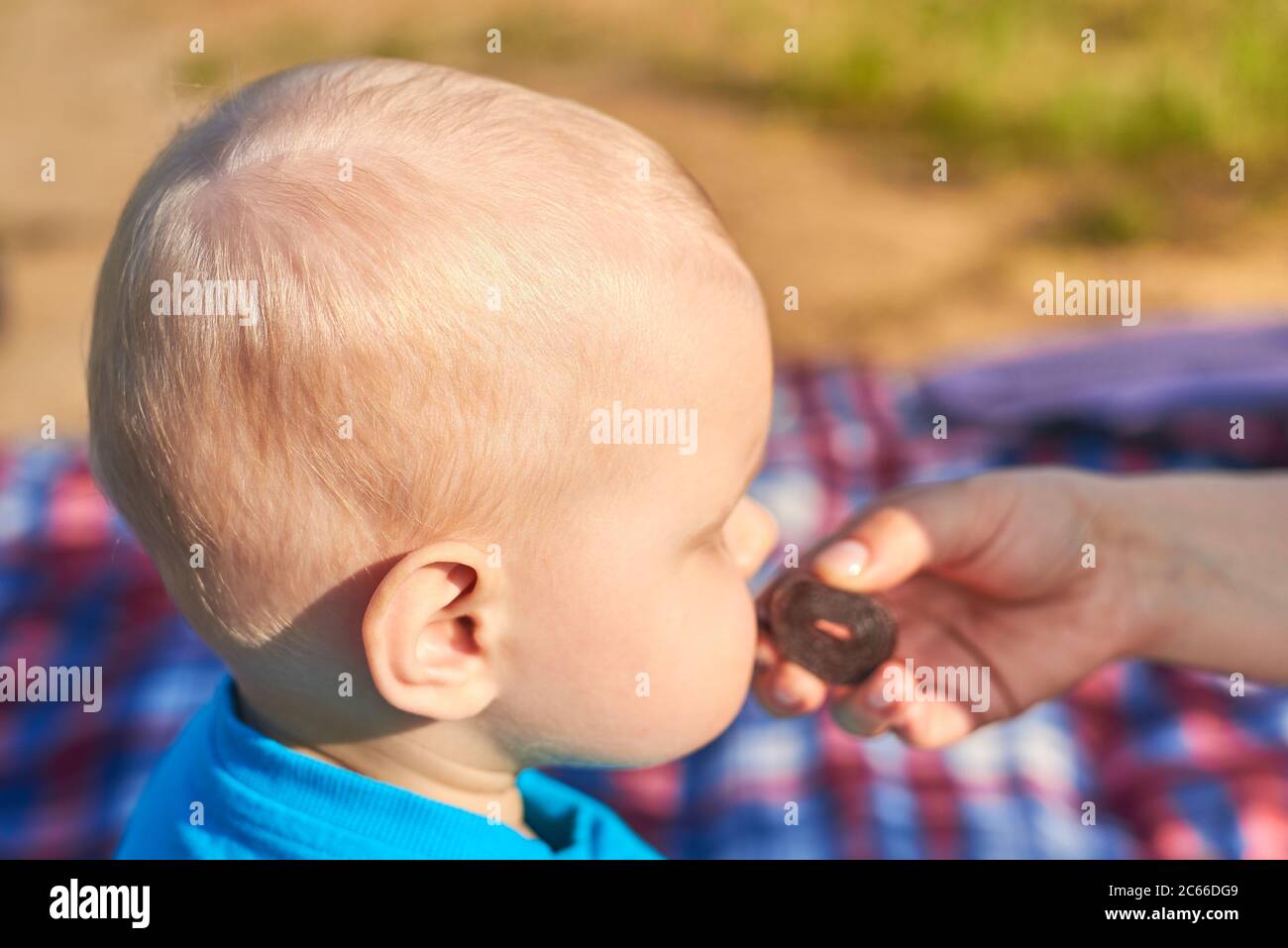 Downy nape hi-res stock photography and images - Alamy