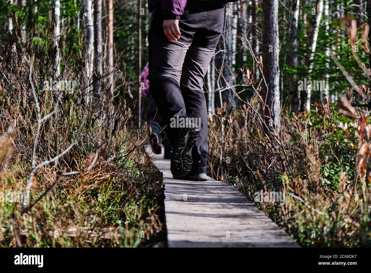 Hiking in finland hi-res stock photography and images - Alamy