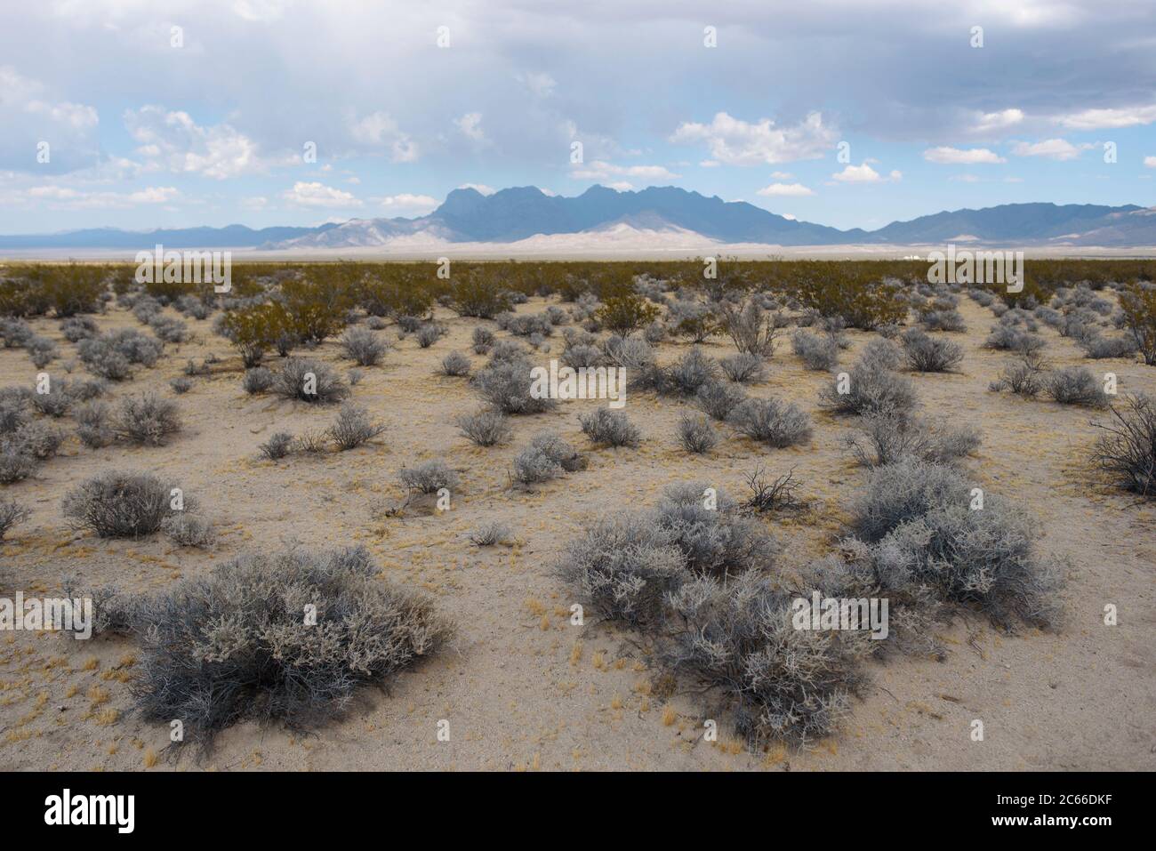 Landscape in the Mojave Desert in California, USA Stock Photo - Alamy