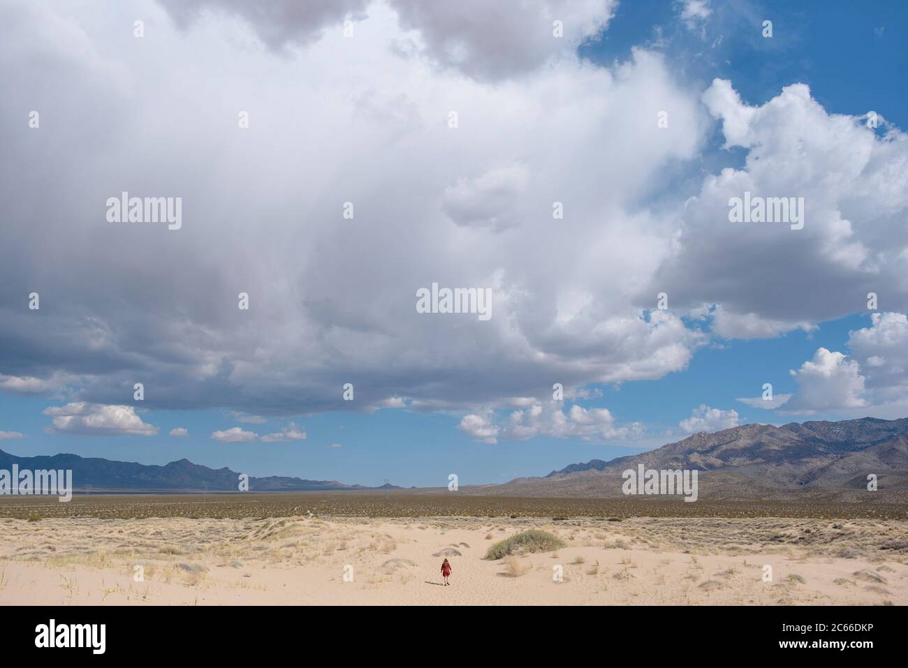 In the Mojave Desert in California, USA Stock Photo - Alamy