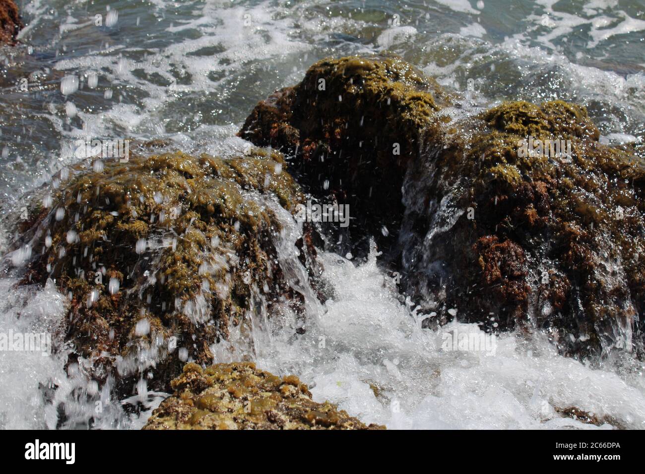 mossy rocks in sea water rocks are totally covered with moss Stock ...